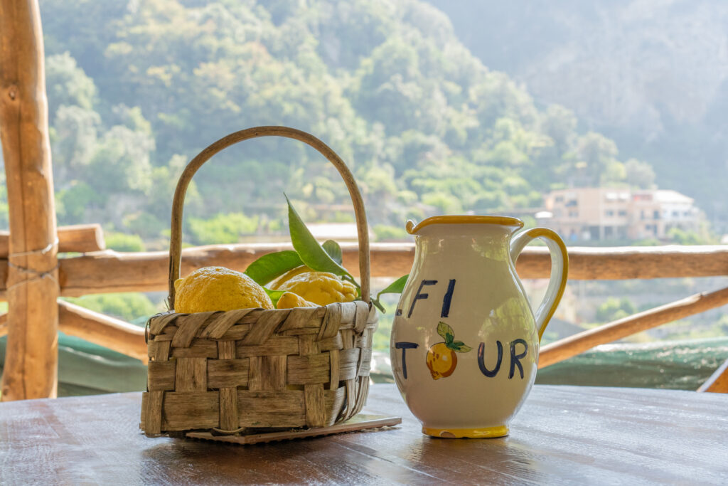 Lemon picnic experience 10:15 am – Amalfi Lemon Experience