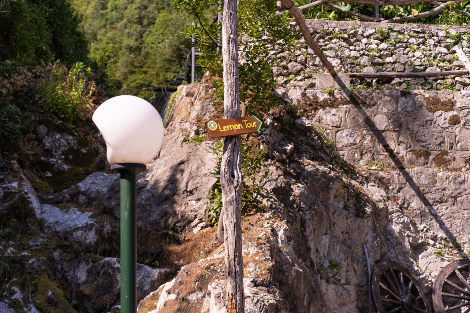 Lemon picnic experience 10:15 am – Amalfi Lemon Experience