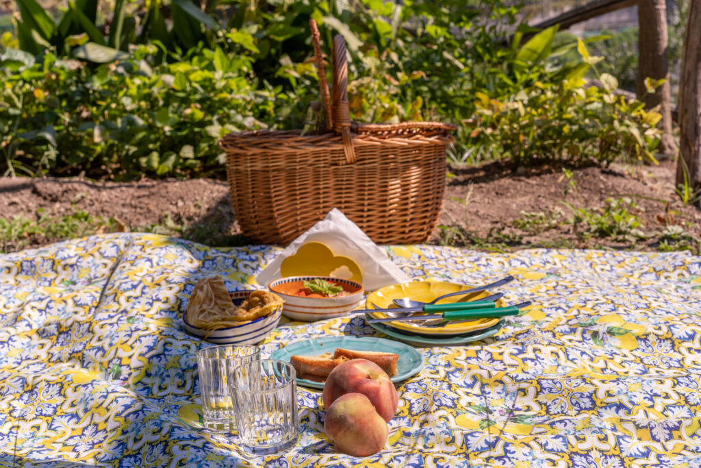 Lemon picnic experience 10:15 am – Amalfi Lemon Experience